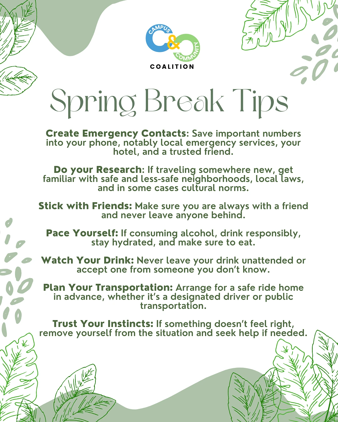 Safe Spring Break: 7 Travel Tips for Your Tar | UNC Family Experience